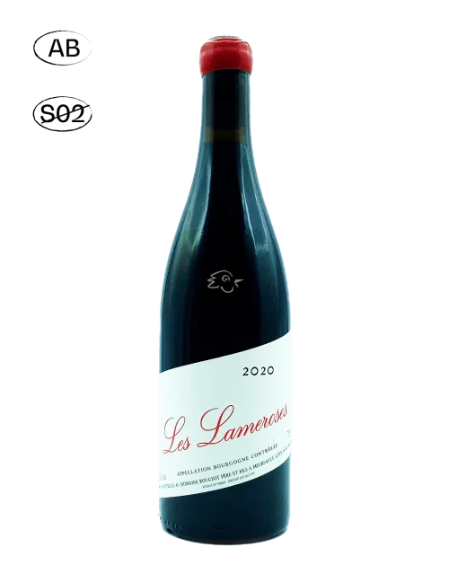 Domaine Rougeot Père & Fils - Vins bio de Bourgogne - Avintures.fr