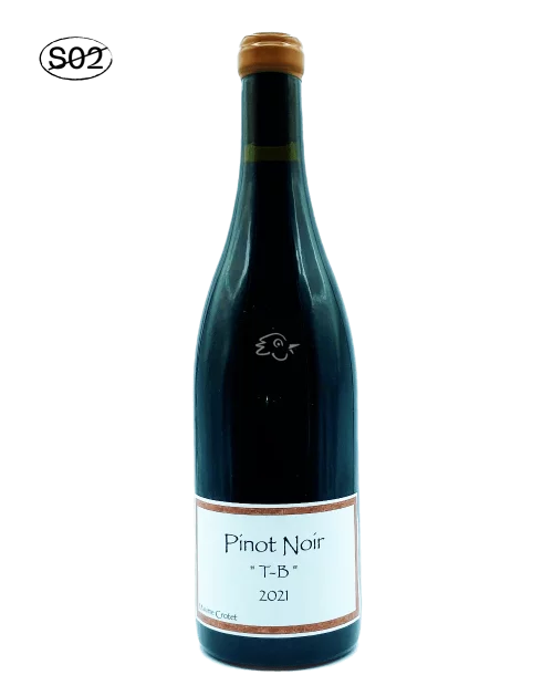 Maxime Crotet - Sykanache 2021 - Avintures